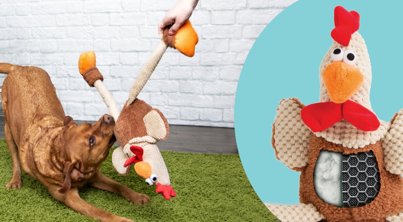 GODOG Checkers Chew Guard Rooster Squeaky Plush Dog Toy, Mini - Chewy.com