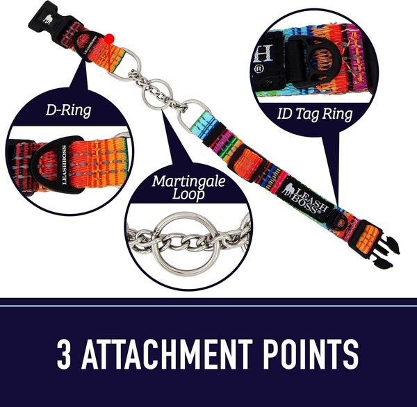 LEASH BOSS Chain Martingale Dog Collar, Purple/Pink, Medium - Chewy.com