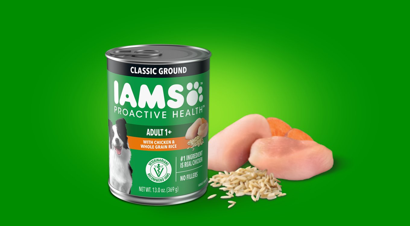 IAMS ProActive Health Classic Ground with Slow Cooked Chicken & Rice ...