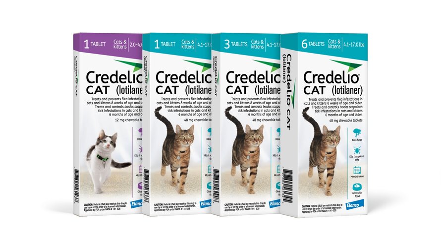 Credelio - Free shipping | Chewy