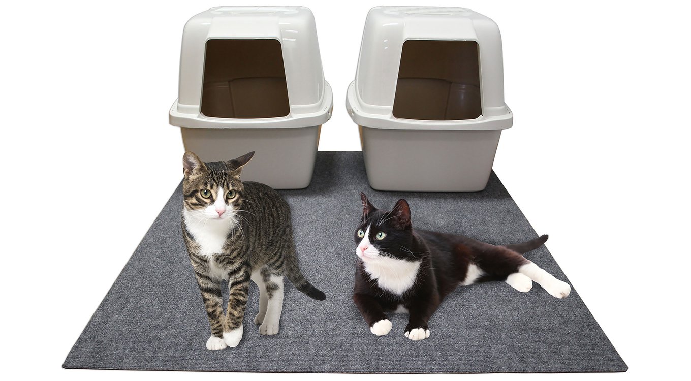 DRYMATE Jumbo Ridged Cat Litter Trapping Mat, Grey, 36-in x 47-in ...