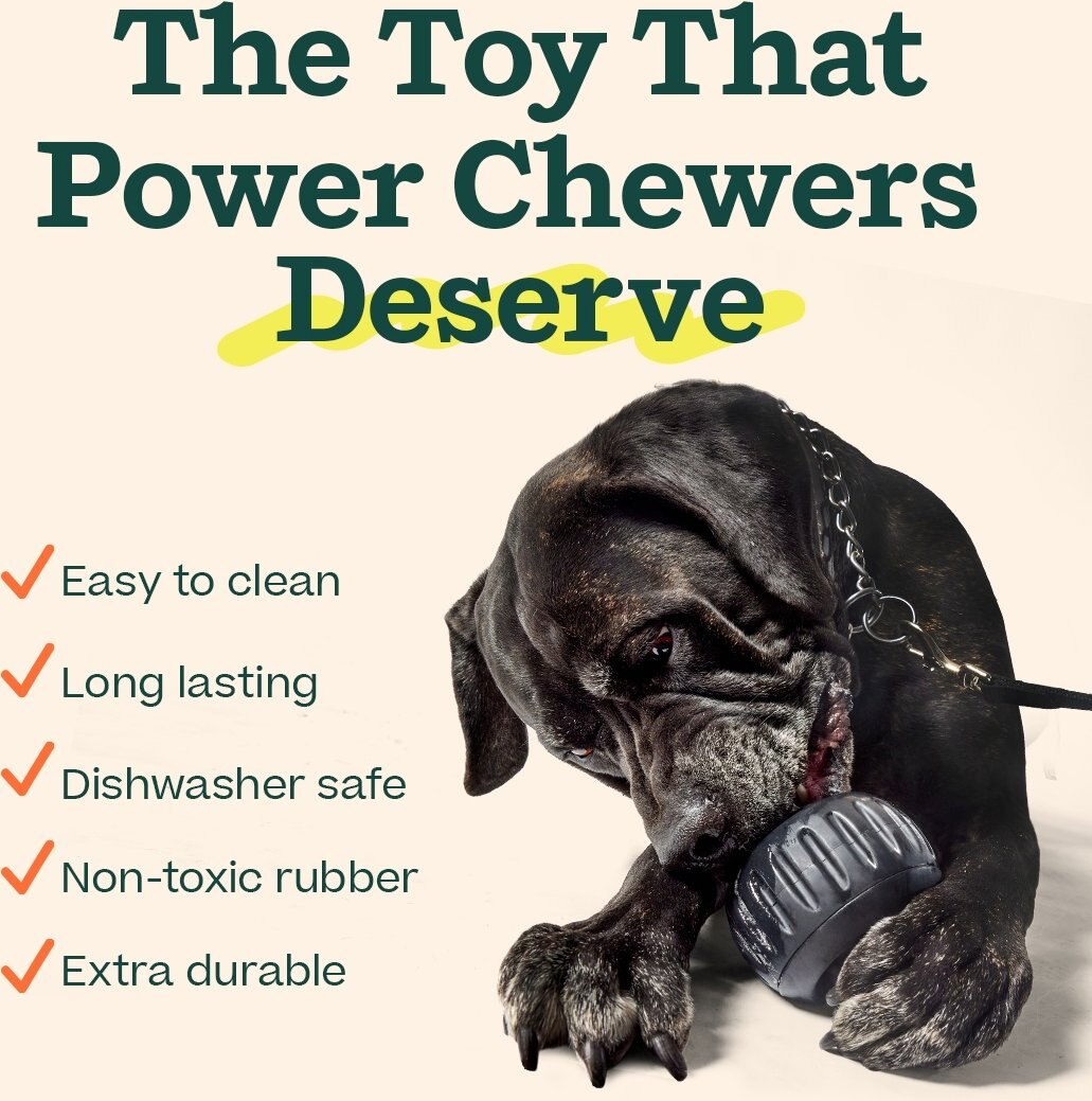 WOOF Pupsicle Power Chewer Refillable Dog Treat Dispenser Toy, Large ...