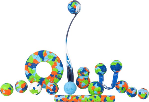 CHUCKIT! ECOFETCH Stick Dog Toy - Chewy.com