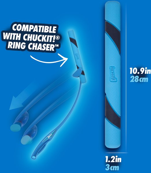 CHUCKIT! Sniff Fetch Stick Dog Toy, Green, Bacon Scent - Chewy.com