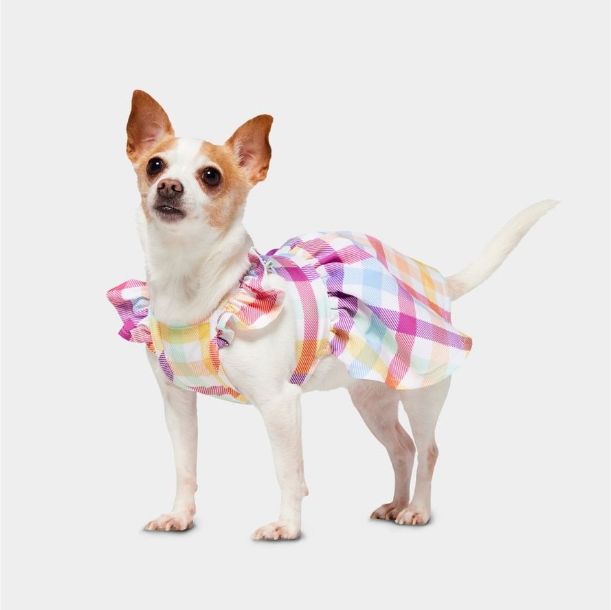 Dog Clothes - Dog Outfits, Costumes & More (Free Shipping) | Chewy