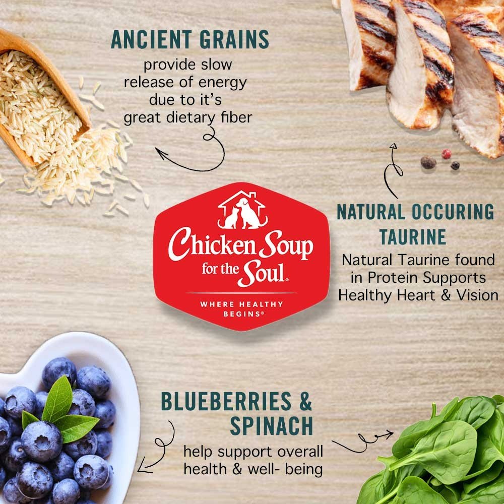 CHICKEN SOUP FOR THE SOUL Kitten Chicken, Brown Rice & Pea Recipe Dry ...