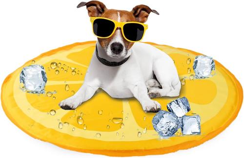 ALLFORPAWS Chill Out Orange Cooling Mat Dog & Cat Pet Bed - Chewy.com