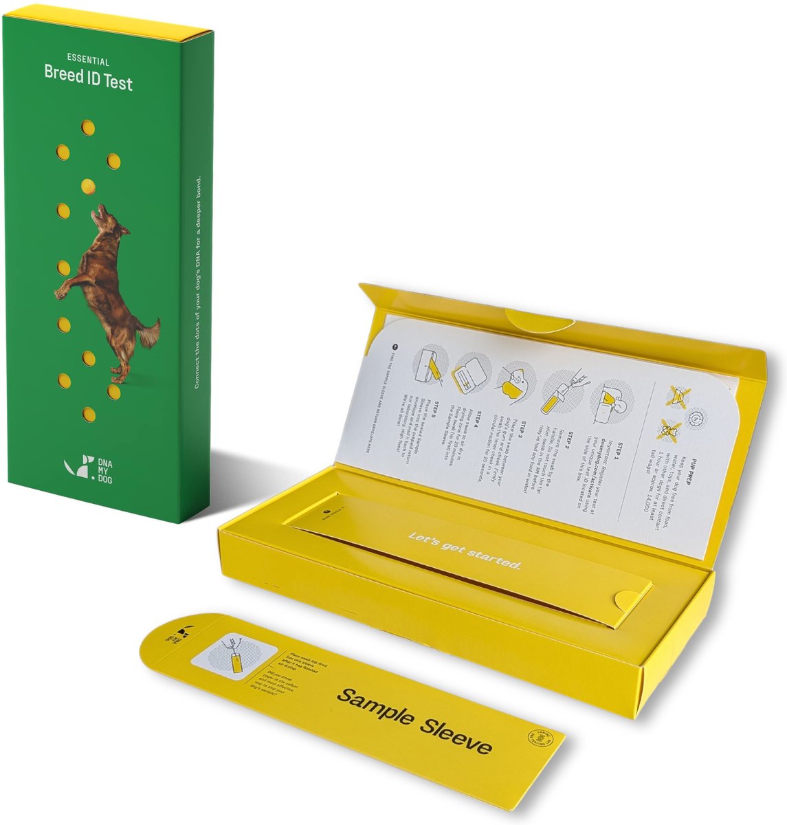 DNA MY DOG Essential Breed Identification Test - Chewy.com