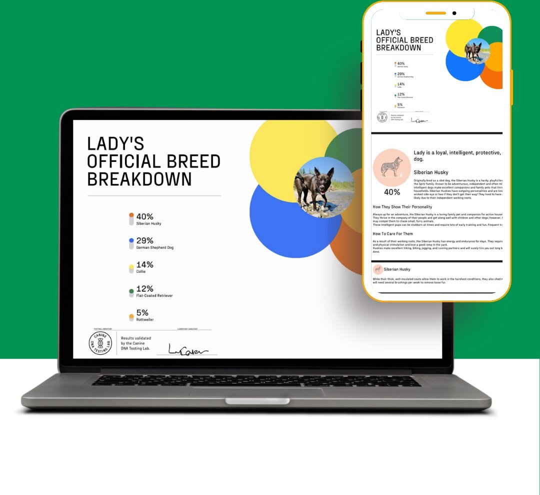 DNA MY DOG Essential Breed Identification Test - Chewy.com