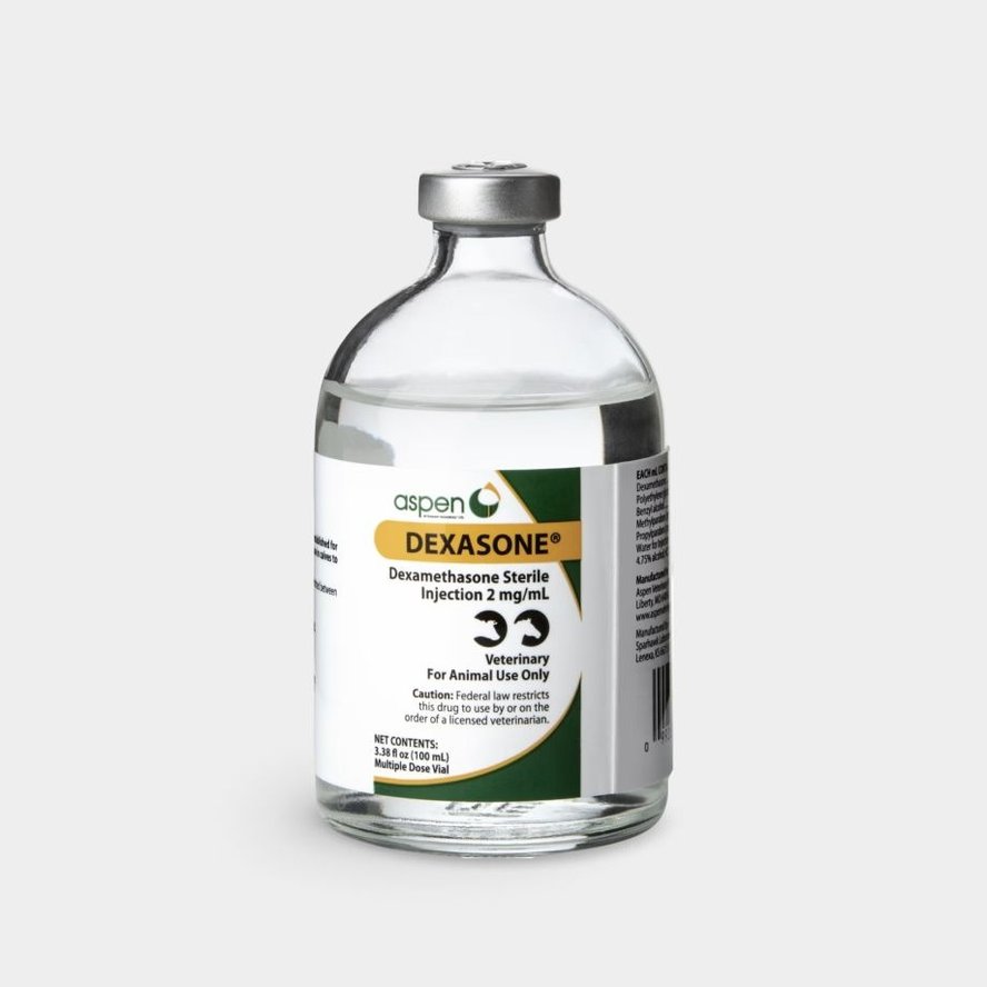 Horse Medicine: Prescription Horse Pharmacy & Medication (Ships Free ...