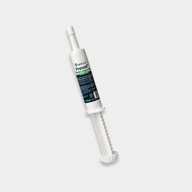 Horse Medicine: Prescription Horse Pharmacy Meds (Ships Free) | Chewy RX