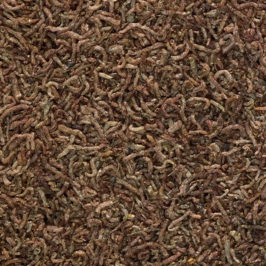 Fish Food | Chewy