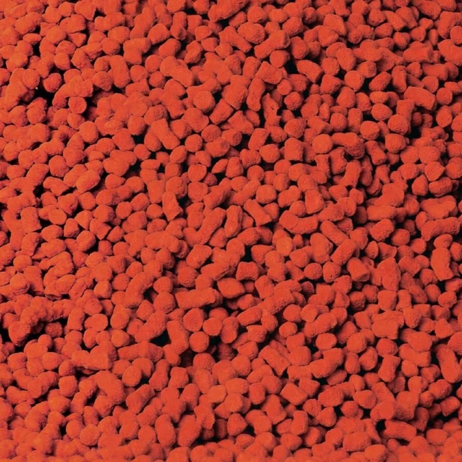 Fish Food: Flakes, Pellets, Freeze Dried (Free Shipping) | Chewy