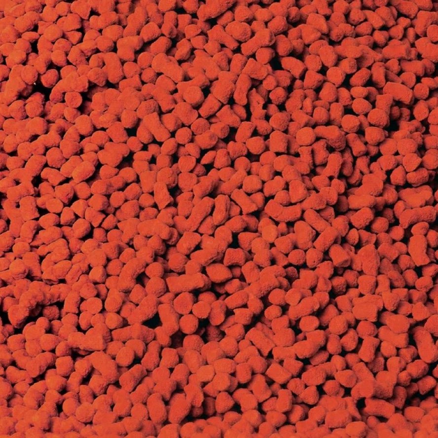 Fish Food | Chewy