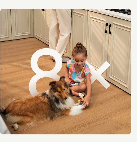 EUFY S350 Dual-Lens Indoor Pan/Tilt Dog & Cat Camera - Chewy.com