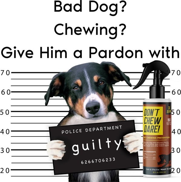 ZONE PROTECTS Don't Chew Dare Chewing Deterrent Dog Spray, 8-fl oz ...