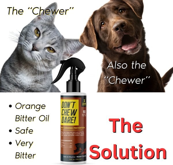 ZONE PROTECTS Don't Chew Dare Chewing Deterrent Dog Spray, 8-fl oz ...
