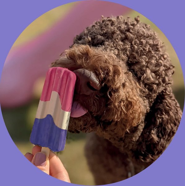 PUP ICE Rocket Lollies Strawberry & Blueberry Dog Chew Treat, 2 count ...