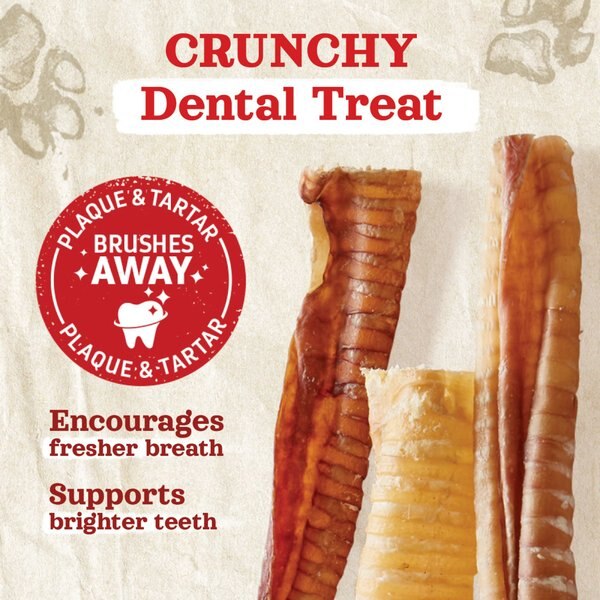 NATURAL FARM Beef Trachea Dog Chews, 12-in, 10 count - Chewy.com