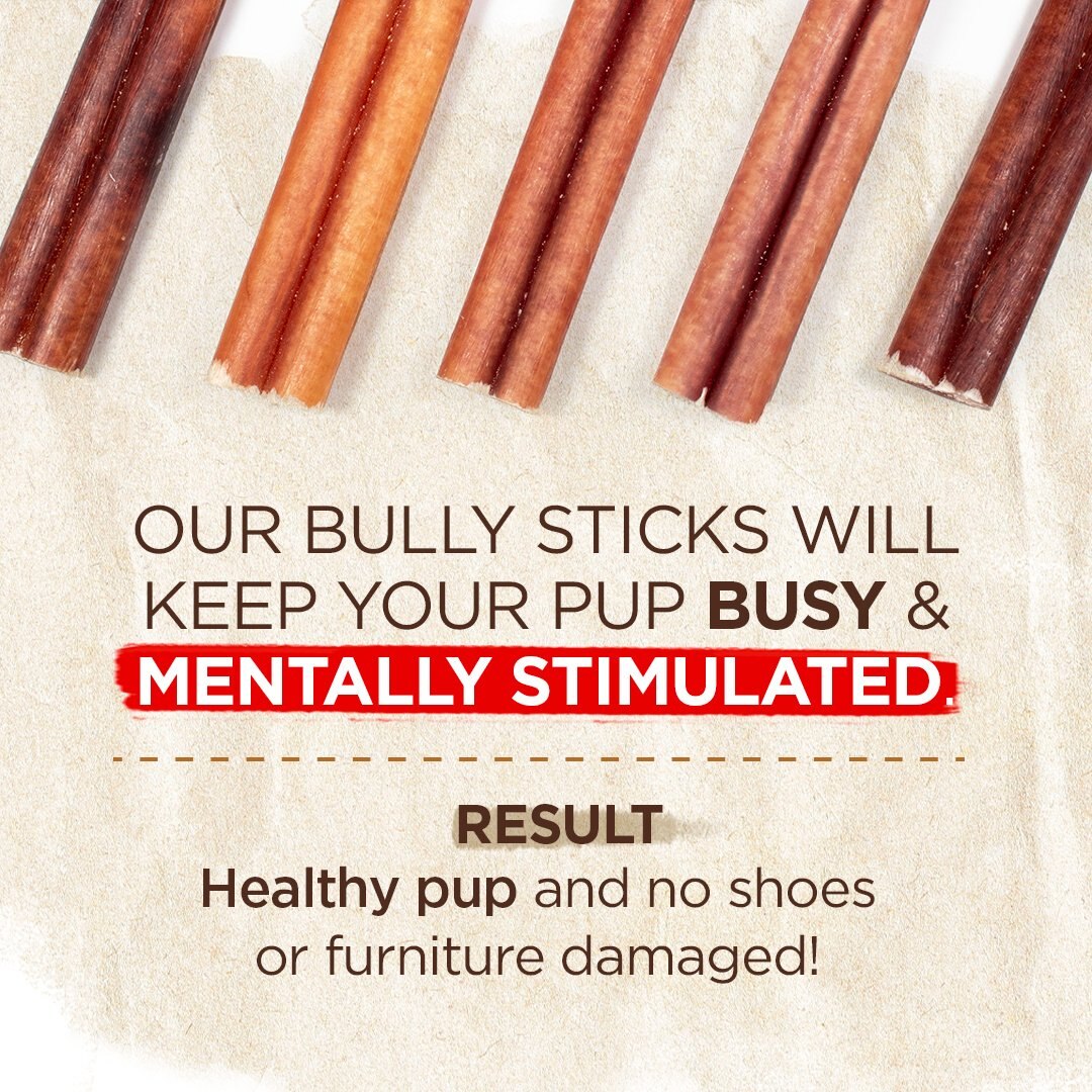 NATURAL FARM Odor Free 6-inch Bully Stick Dog Chews, 80 count - Chewy.com