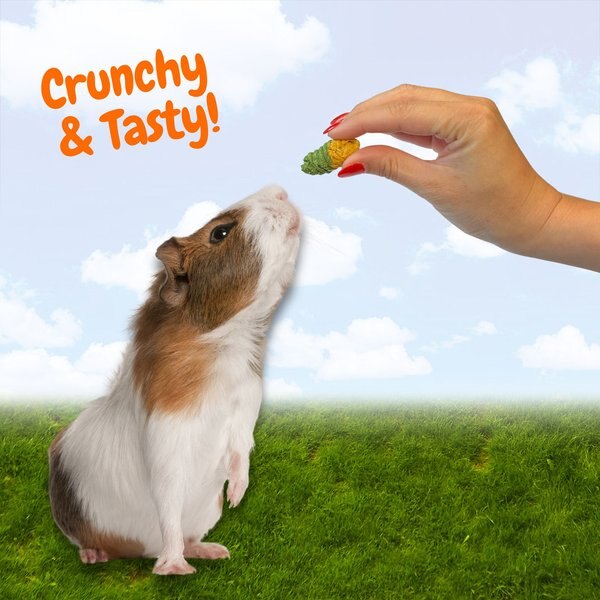 EXOTIC NUTRITION Crunchy Swirls Small Pet Chew Toy, 4.7-oz bag - Chewy.com