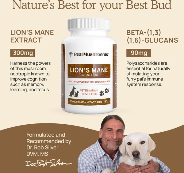 REAL MUSHROOMS Lion's Mane Capsule Cognitive Supplement for Dogs & Cats ...