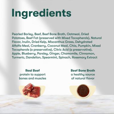 JINX Beef & Bone Broth Biscuits Crunchy Dog Treats, 64-oz bundle ...