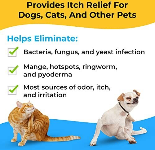 ALPHA PAW Antibacterial & Antifungal Medicated Dog & Cat Wipes, 50 ...