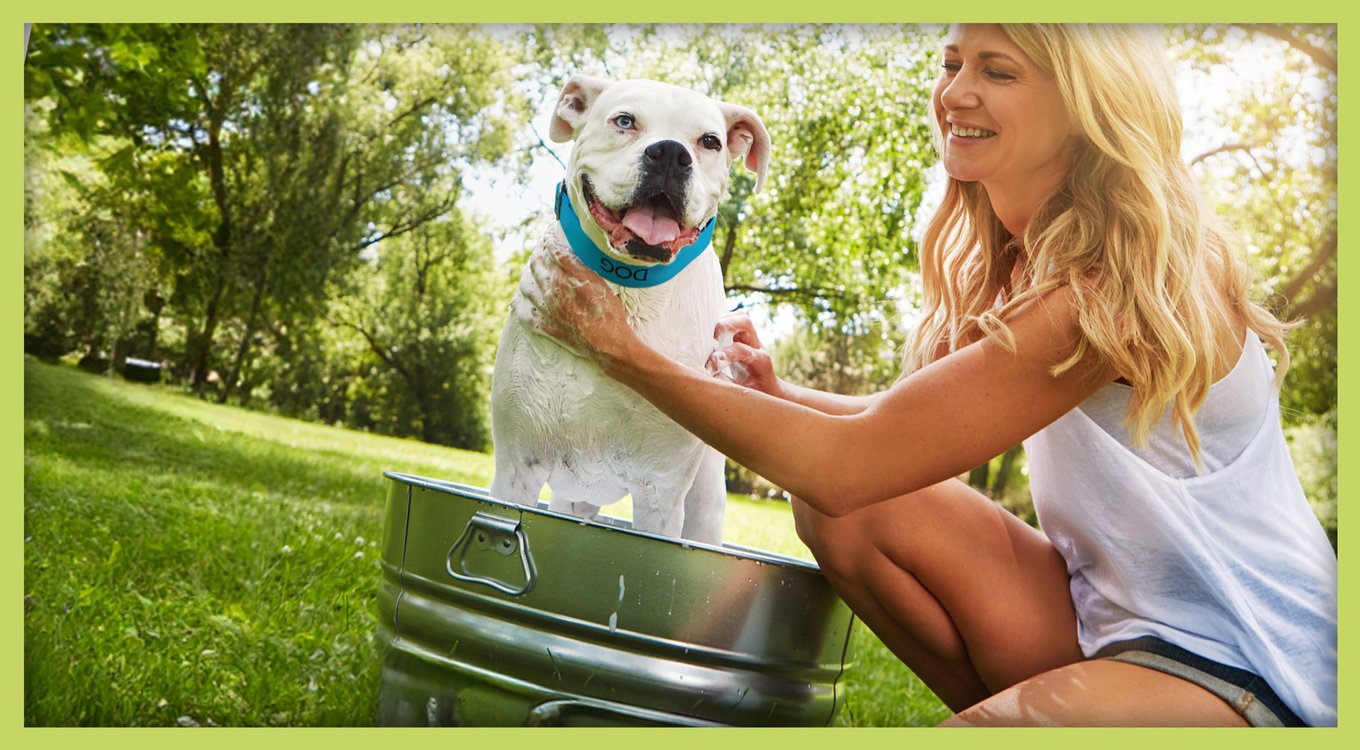 TROPICLEAN Detangling & Dematting Tangle Remover Dog Spray, 1-gal ...