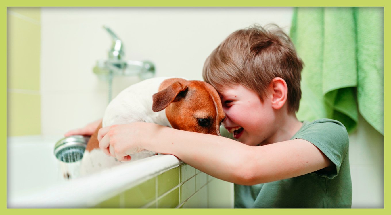 TROPICLEAN Detangling & Dematting Tangle Remover Dog Spray, 1-gal ...