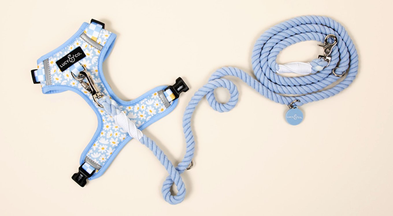 LUCY & CO. The Simply Splendid No-Pull Dog Harness, Blue, X-Small: 12 ...