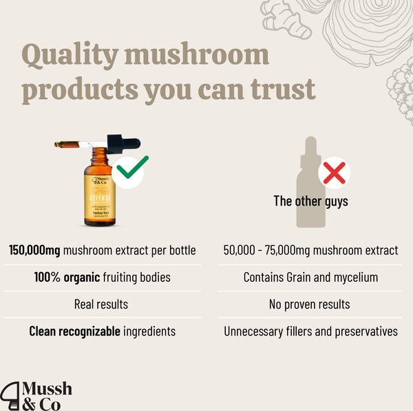 HEMP HEROS Mussh & Co Defence Turkey Tail Mushroom Liquid Supplement ...