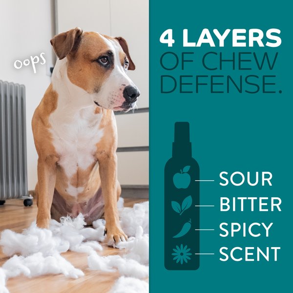 TROPICLEAN Chew Stop Dog Deterrent Home Spray, 8-fl oz bottle - Chewy.com