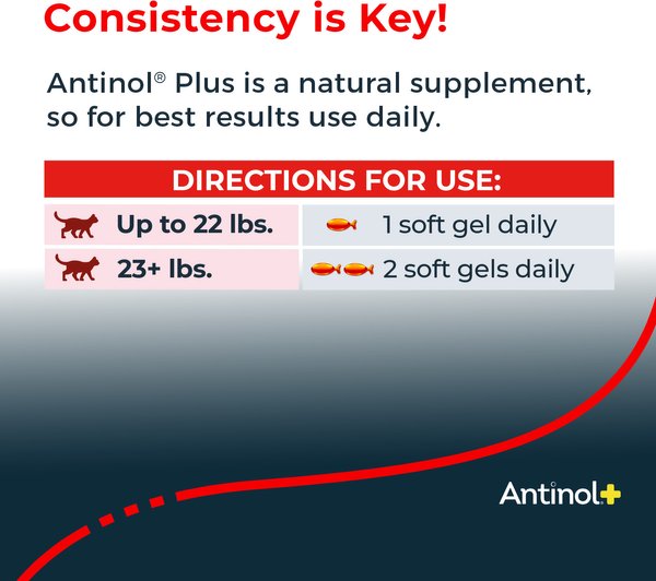 ANTINOL PLUS Softgels Joint Supplement for Cats, 30 count - Chewy.com