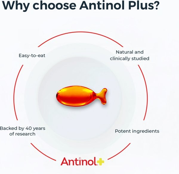 ANTINOL PLUS Softgels Joint Supplement for Cats, 30 count - Chewy.com