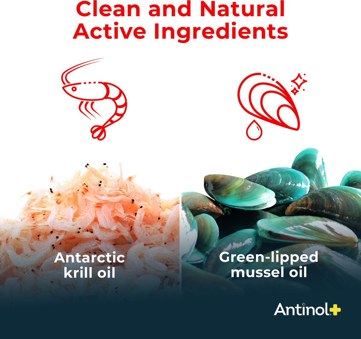 ANTINOL PLUS Softgels Joint Supplement for Cats, 30 count - Chewy.com