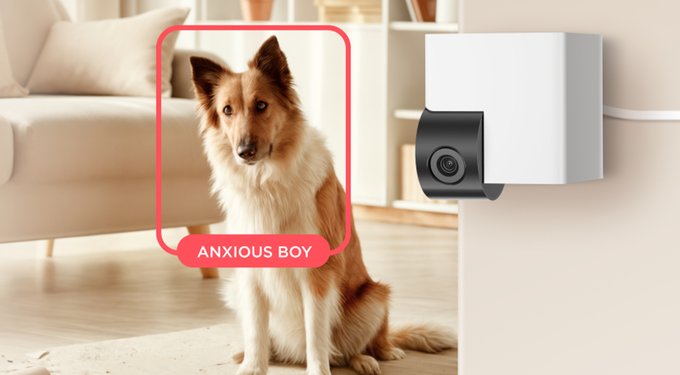PETCUBE Cam 360 Wi-Fi Pet Camera, White - Chewy.com