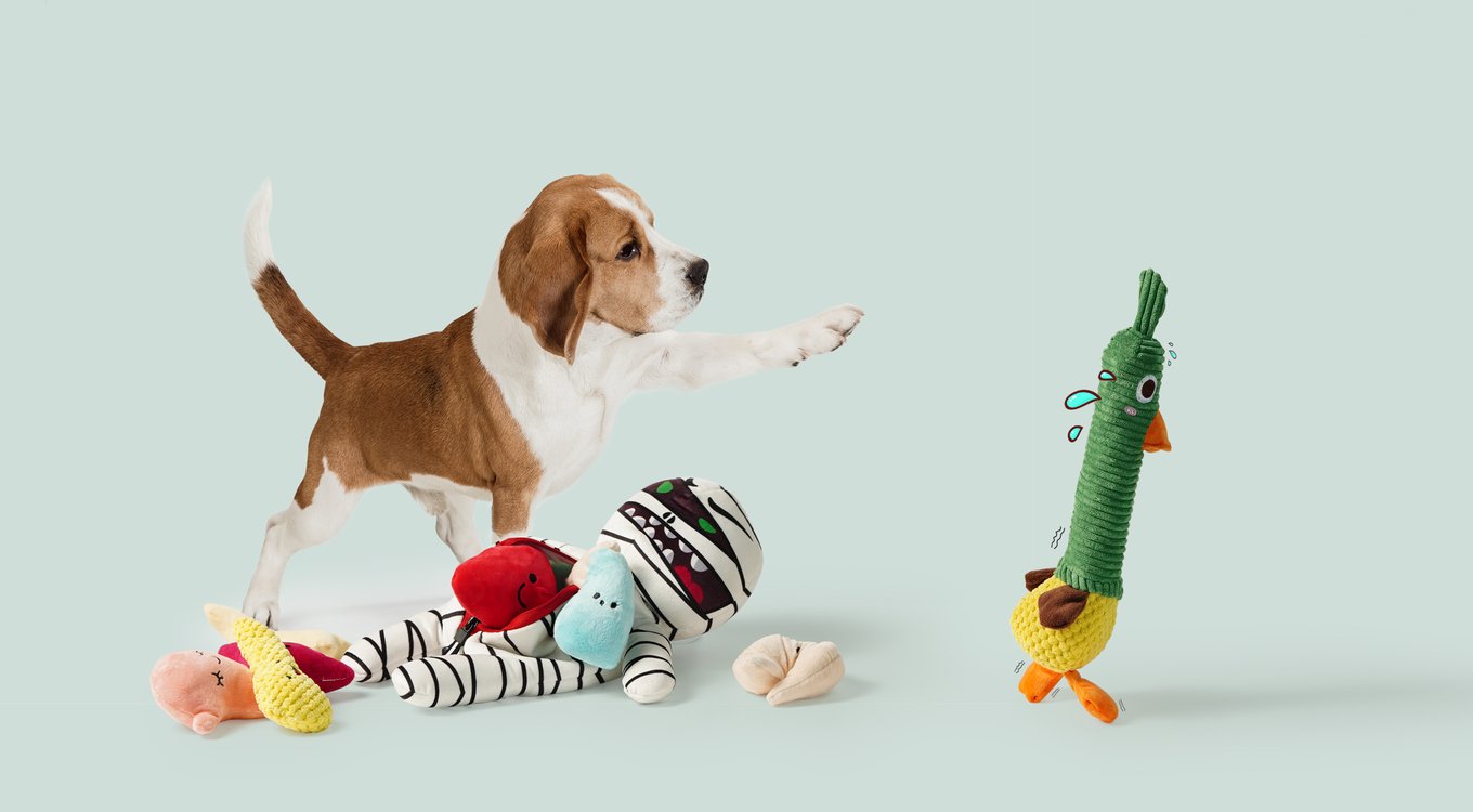 NOCCIOLA Teeth Enrichment Crinkle Snuffle Mat Squeaky Dog Toy, 11 count ...