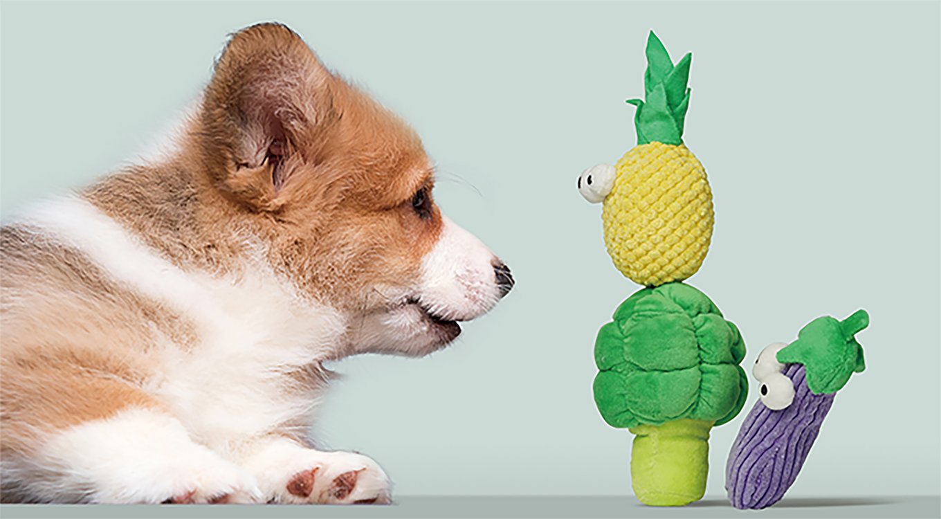 NOCCIOLA Teeth Enrichment Crinkle Snuffle Mat Squeaky Dog Toy, 11 count ...