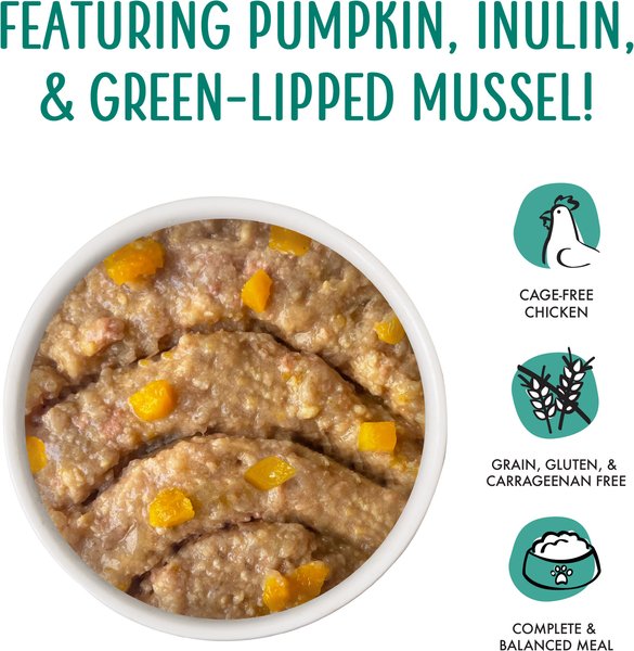 WERUVA Senior Grain-Free Chicken Formula in Hydrating Puree Wet Cat ...