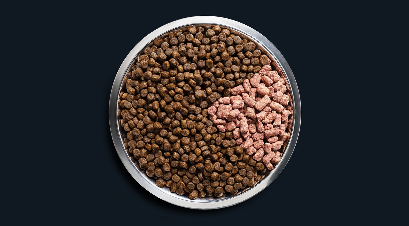 VITAL ESSENTIALS Crunchy Mini Nibs Raw Beef Entree Freeze-Dried Dog ...