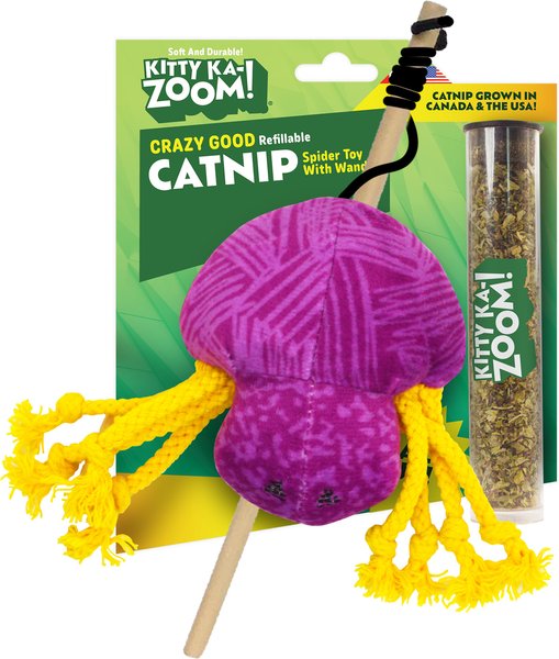 KITTY KA-ZOOM Zoomie Spider Cat Teaser Toy - Chewy.com