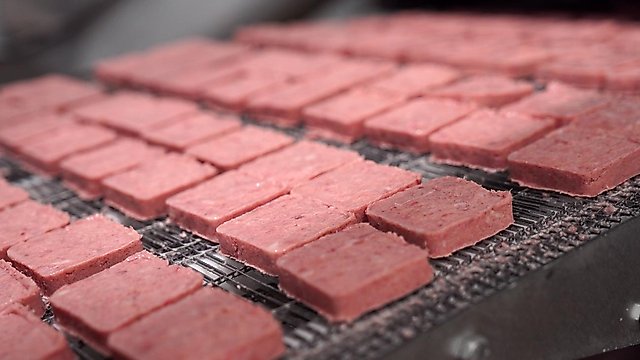 Vital Essentials Raw Food - Free shipping | Chewy