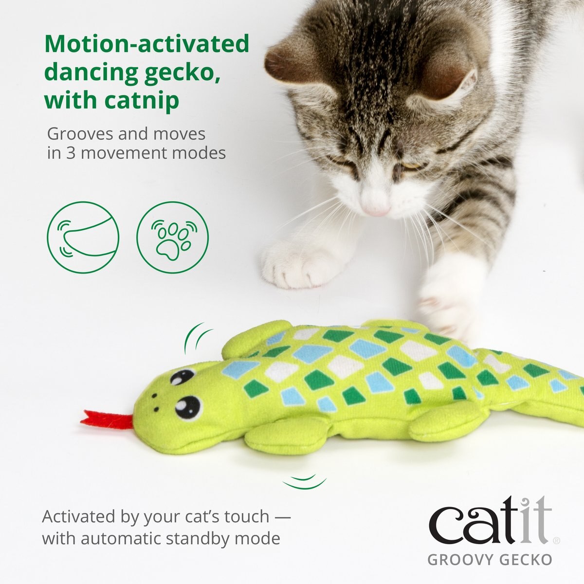 CATIT Groovy Gecko Catnip Cat Toy - Chewy.com
