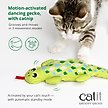 CATIT Groovy Gecko Catnip Cat Toy - Chewy.com