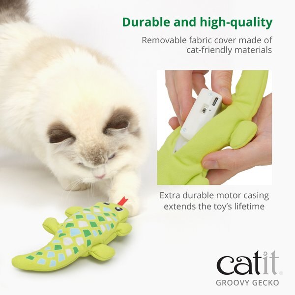 CATIT Groovy Gecko Catnip Cat Toy - Chewy.com