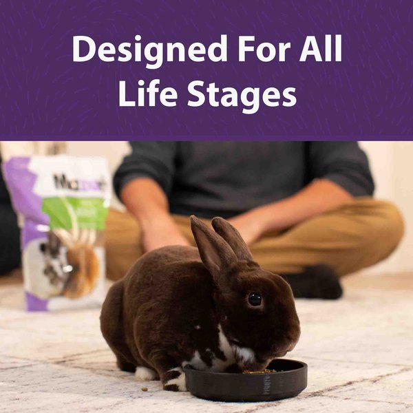 MAZURI Timothy Based Rabbit Food, 5-lb bag - Chewy.com