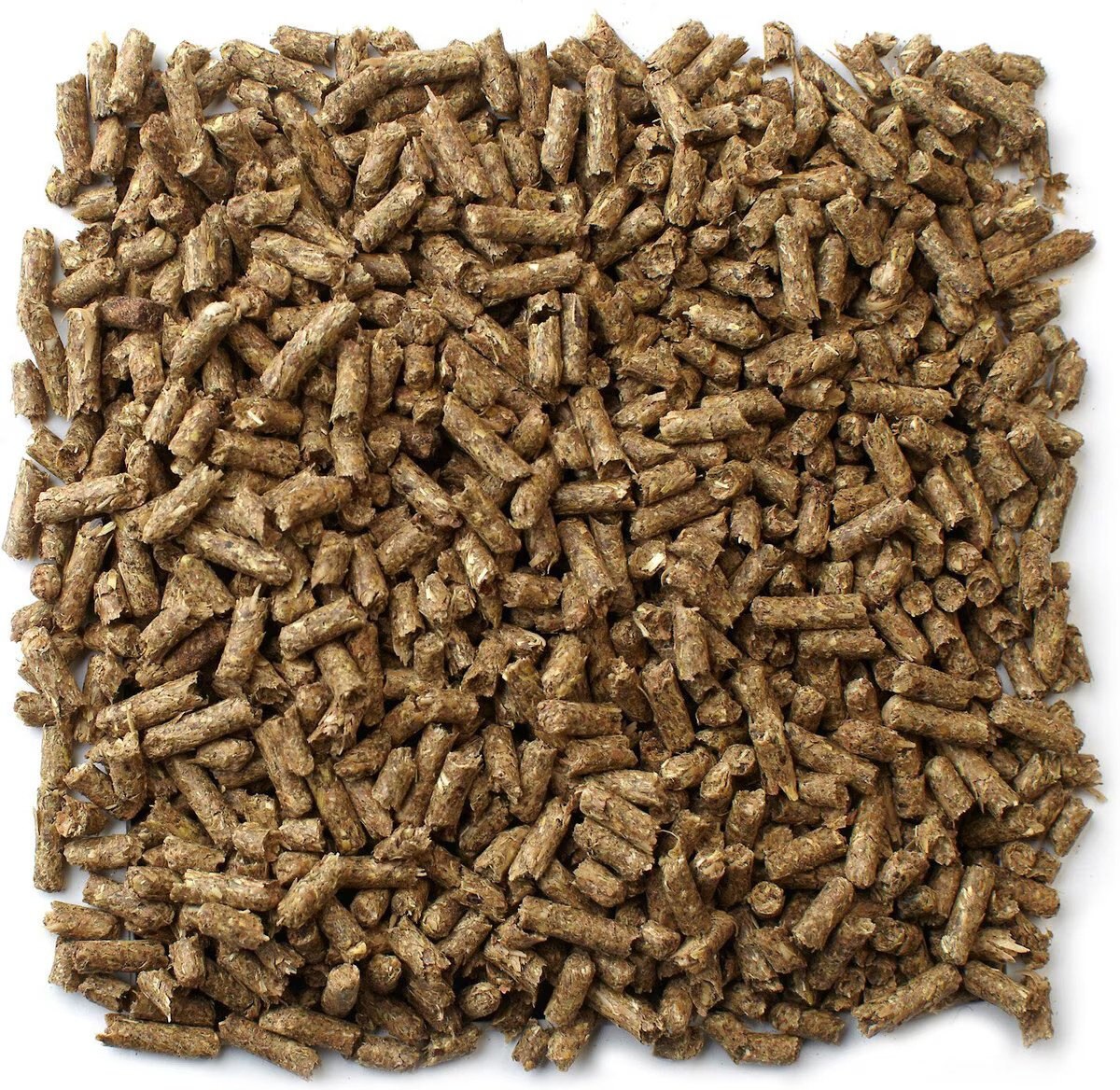 MAZURI Timothy Based Rabbit Food, 5-lb bag - Chewy.com