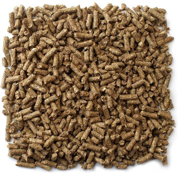 MAZURI Timothy Based Rabbit Food, 5-lb bag - Chewy.com