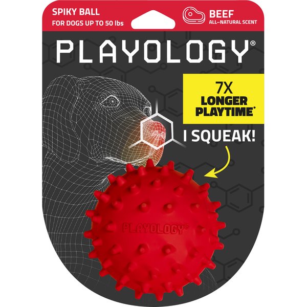 PLAYOLOGY Beef Scented Spiky Squeaky Ball Dog Toy, Medium - Chewy.com